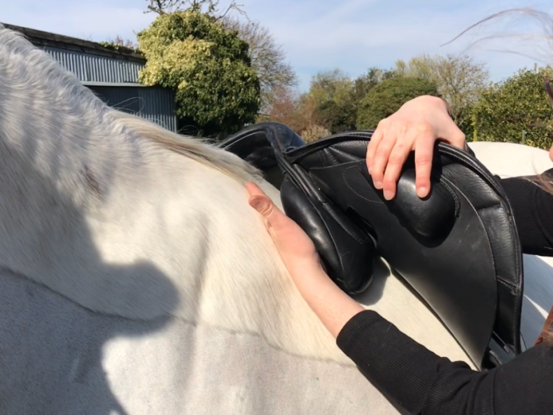 Recognising Saddle Fit Issues | The Saddle Bank
