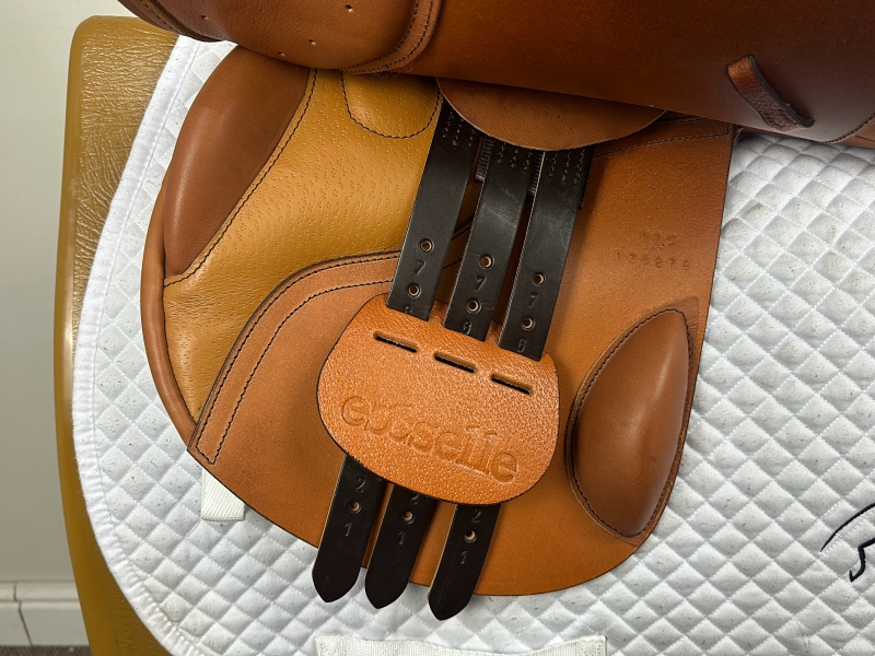 17.5 inch Exselle Jump Brown Medium - C3812