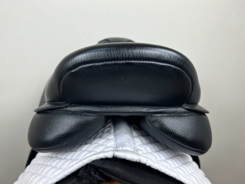 17 inch Arena GP Black Adjustable - S6976