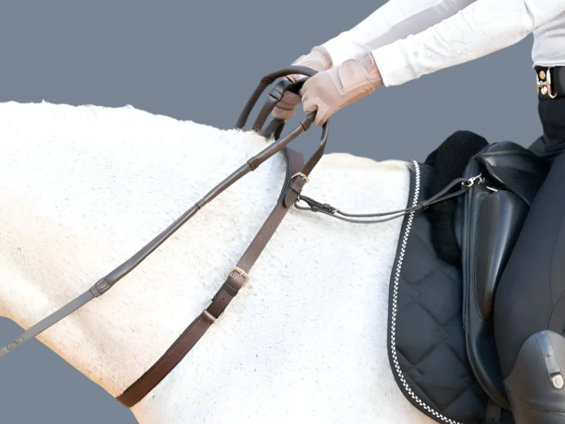 Correct Connect Double Neck Strap | The Saddle Bank