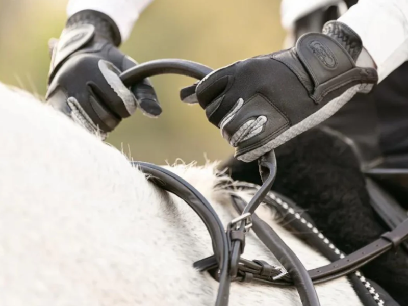 Correct Connect Double Neck Strap | The Saddle Bank