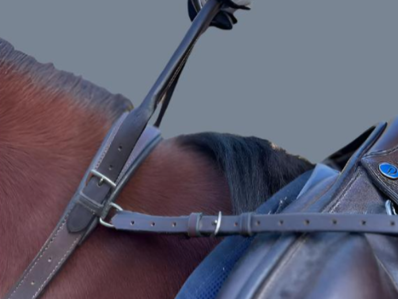 Correct Connect Double Neck Strap Extra Long Add-On Strap | The Saddle Bank