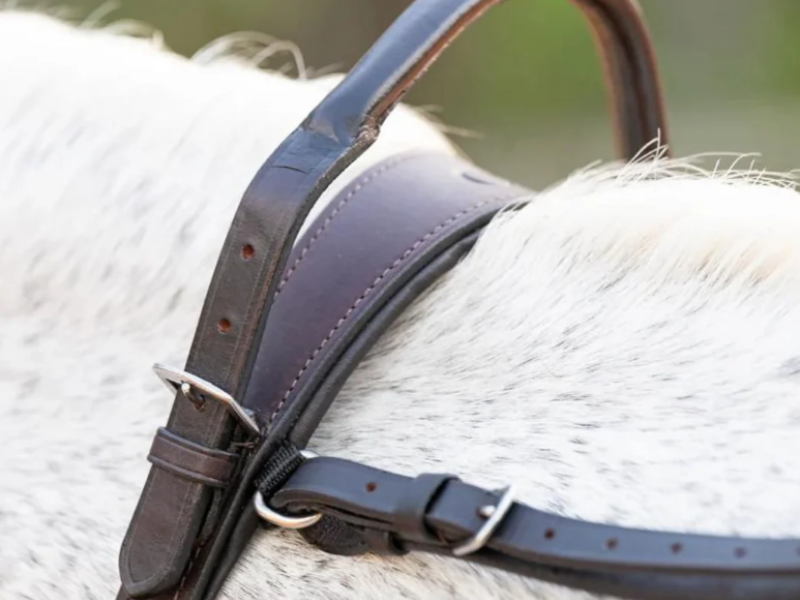 Correct Connect Double Neck Strap | The Saddle Bank